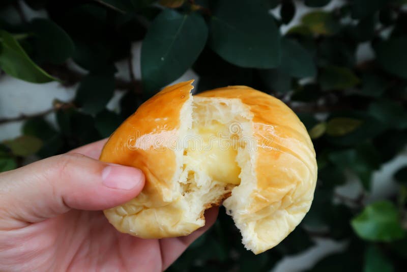 Bun or Custard Bun, Cream Bun or Butter Bun Stock Image - Image of ...