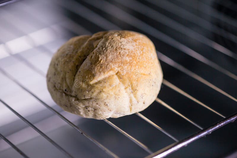 Bun in oven, shallow dof stock photo. Image of food, bakery - 85065364