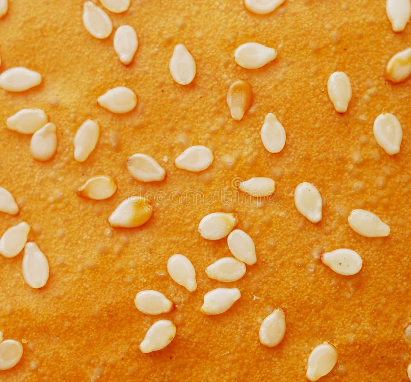 Sesame cracker stock image. Image of plastic, cracker - 20524537