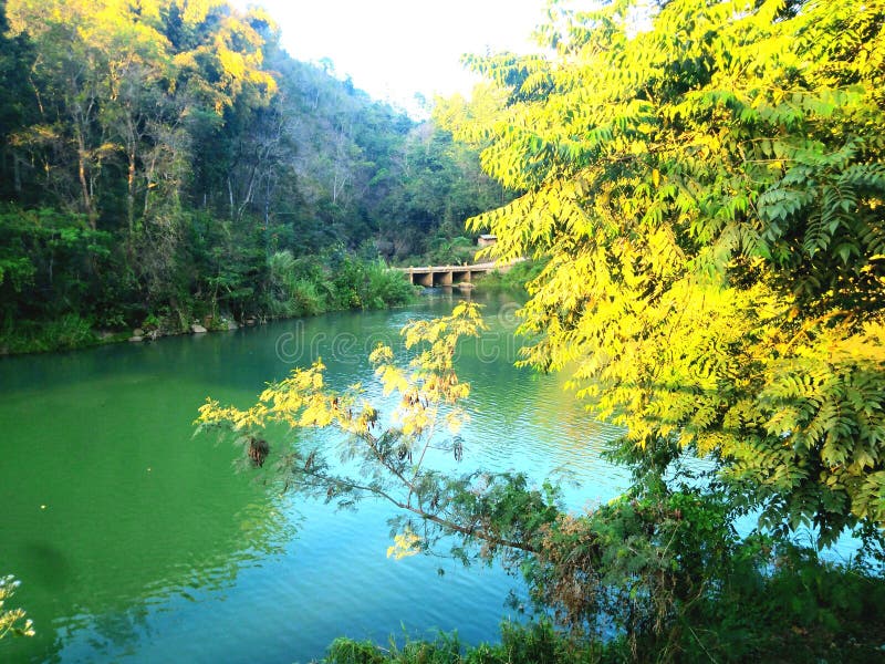 Bunawan emerald river stock image. Image of bunawan - 174006843