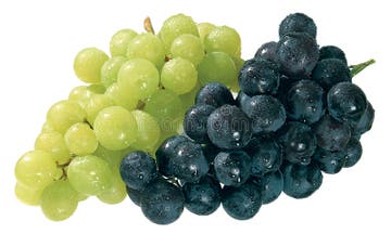 Bunch stock photo. Image of green, bunches, food, crop - 117462