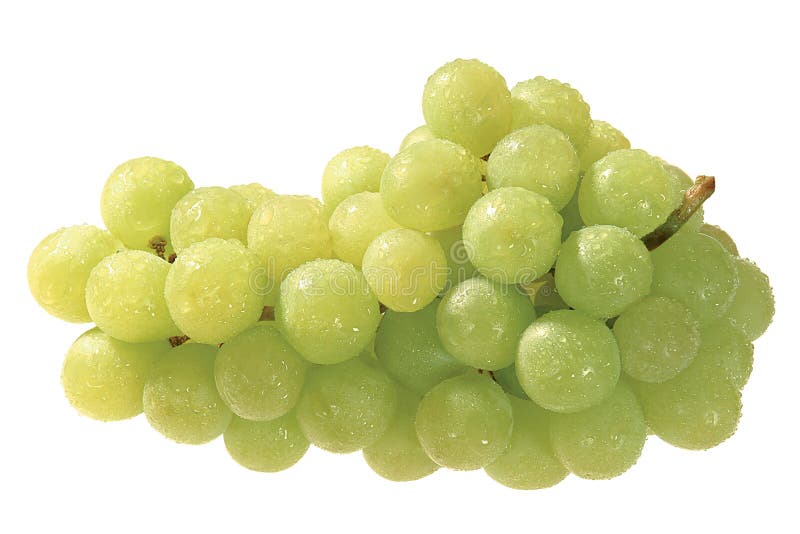 Bunch stock photo. Image of green, bunches, food, crop - 117462