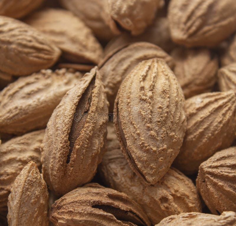 A Bunch of Almonds Close-up. Salted Fresh Nuts in the Shell Stock Image ...