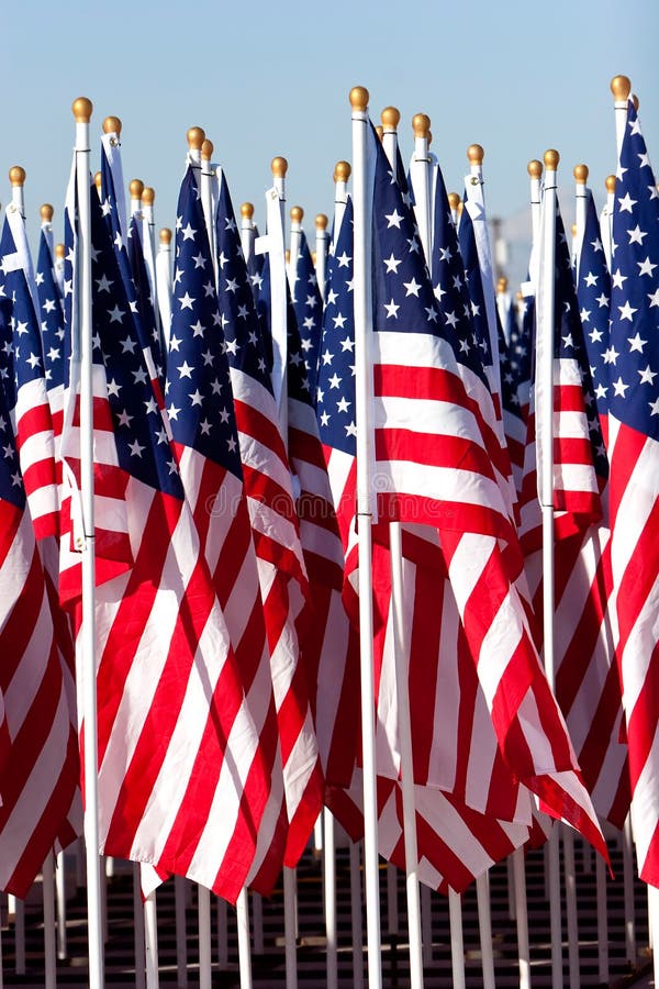 Bunch of American flags stock photo. Image of pole, heritage - 13131750