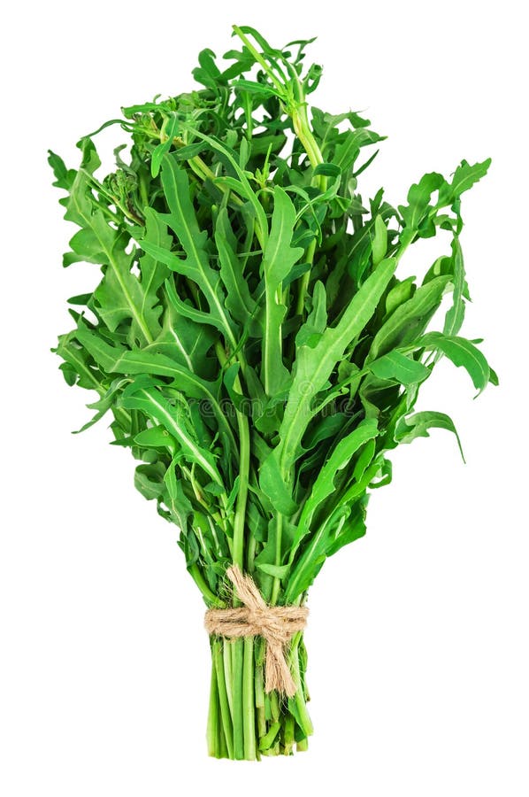 Bunch of arugula stock photo. Image of healthy, arugula - 77247334
