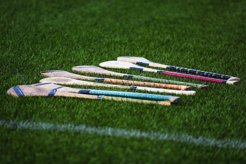 A Bunch of Ash Hurleys Lie in the Grass Editorial Stock Photo - Image ...