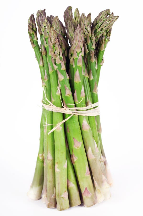 Bunch of asparagus stock image. Image of ingredients - 18158823 Bunch of asparagus stock image. Image of ingredients - 18158823