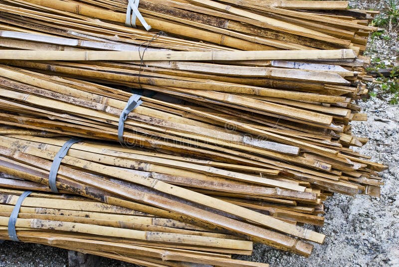 Bunch of Bamboo stock photo. Image of abstract, jungle - 9330752