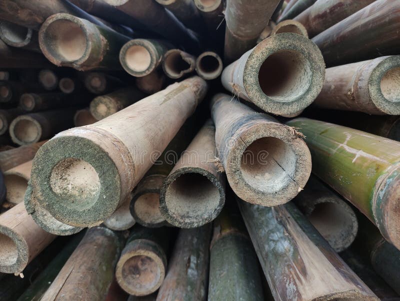 A Bunch of Bamboo that Has Been Cut into Pieces Stock Image - Image of ...