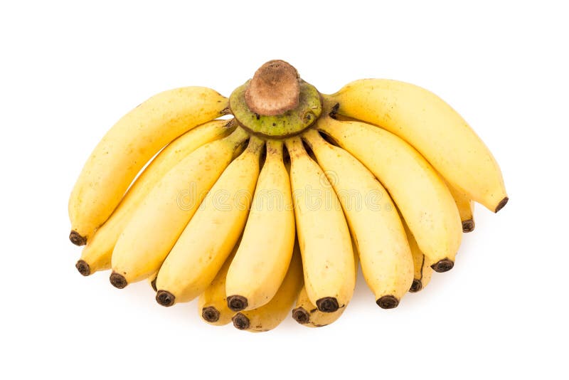 101 Bananas Core Stock Photos - Free & Royalty-Free Stock Photos from ...