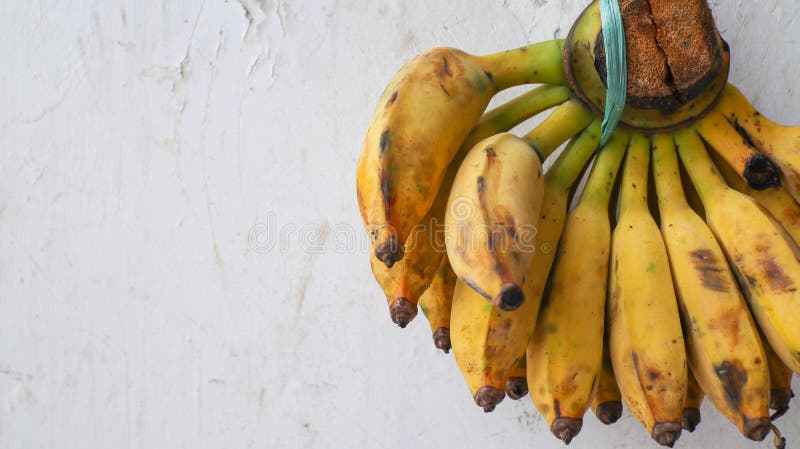 Tied bananas stock image. Image of fruit, ingredient - 21476283