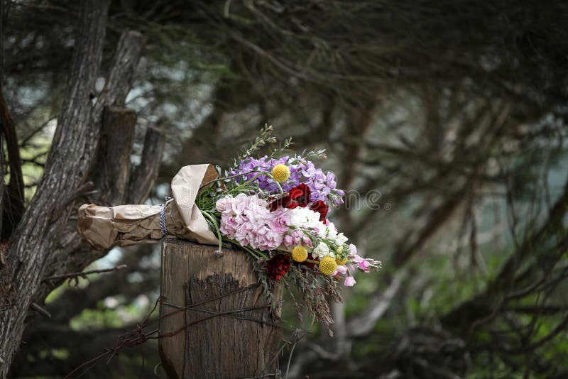 Bunch of Beautiful Cottage Cut Flowers in Rustic Setting Stock Photo ...