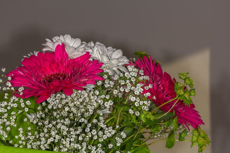 Bunch of Beautiful Flowers with Many Colors Stock Image - Image of ...