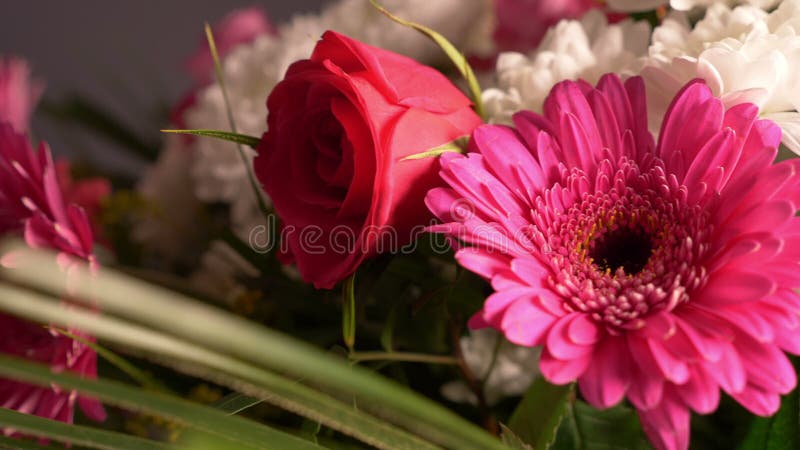 Bunch of Beautiful Spring Flowers Stock Video - Video of green, classic ...