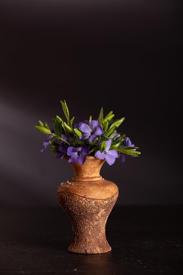 Bunch of Beautiful Spring Flowers in a Vase Stock Image - Image of ...
