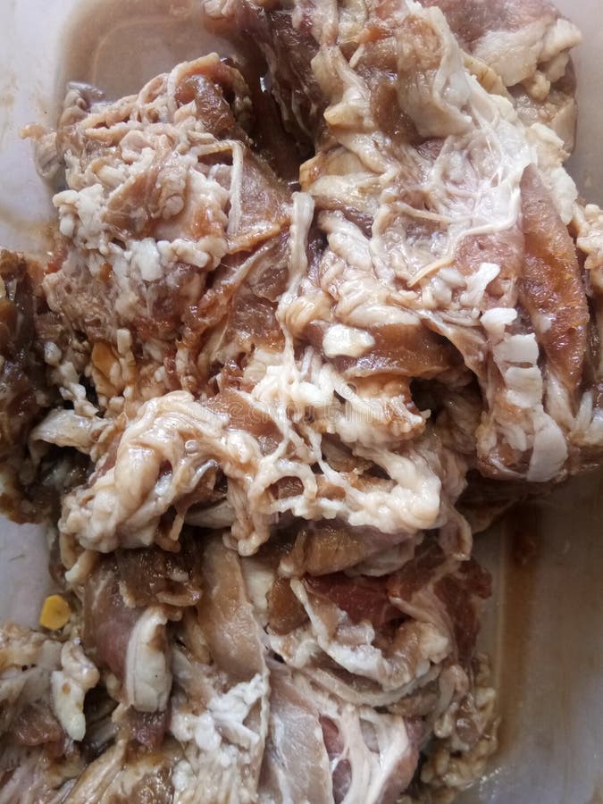 Bunch of beef and fat stock image. Image of curry, dish - 222929855