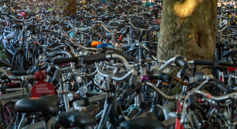 Bunch of Bicycles stock image. Image of transportation - 208901235