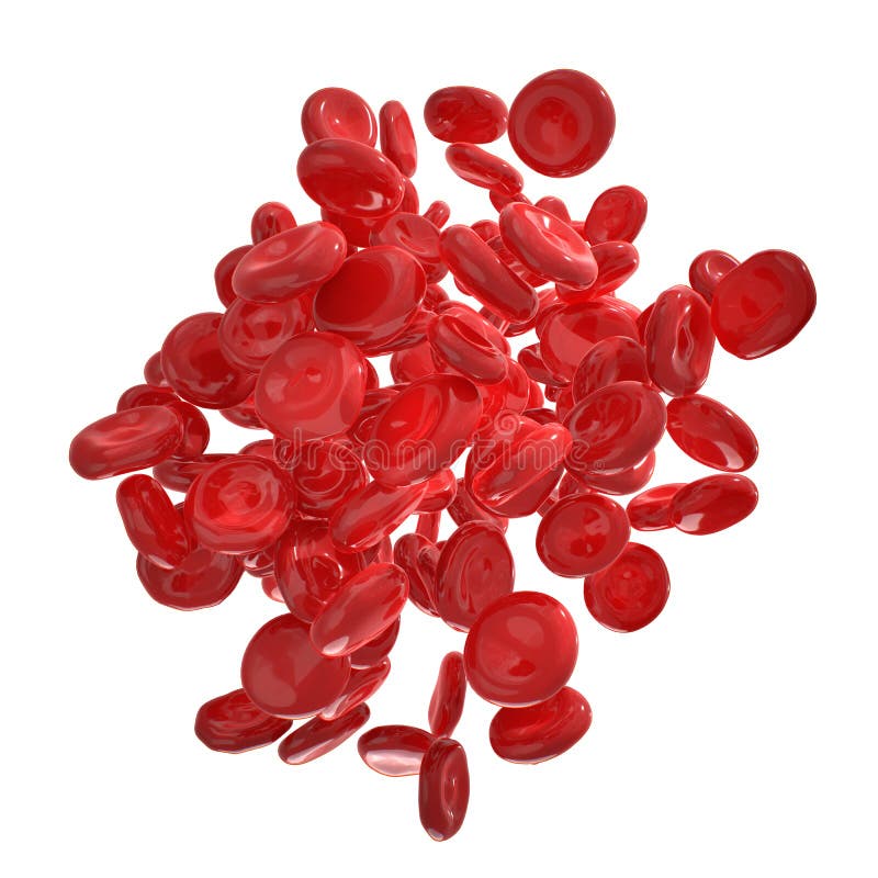 Blood Cell Clusters in Plasma on White Stock Illustration ...