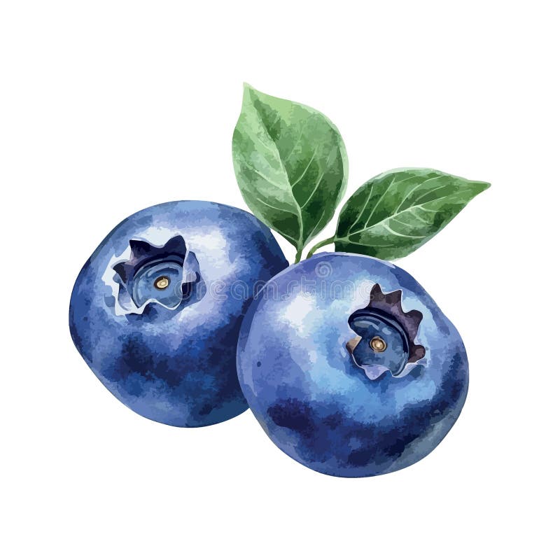 Bunch of Blueberries with Green Leaves. There are Six Blueberries in ...