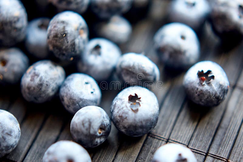 Bunch of Blueberries on a Blueberry Bush Stock Photo - Image of ...