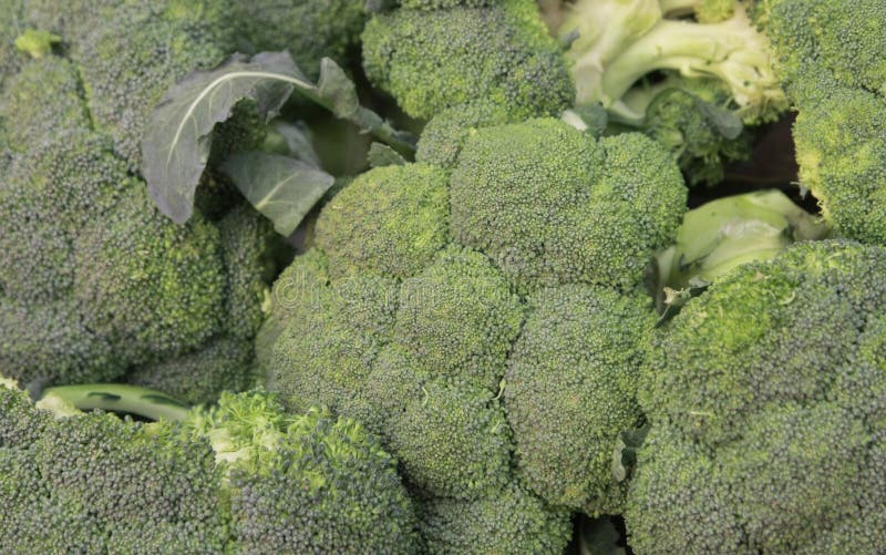 A bunch of broccoli stock photo. Image of health, broccoli - 12966482