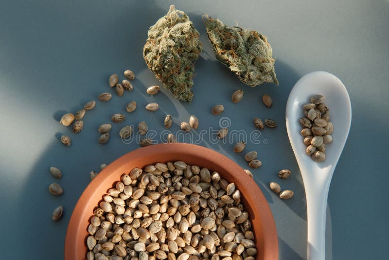 A Bunch of Cannabis Seeds Lie on a Spoon and Plate with Several Dried ...