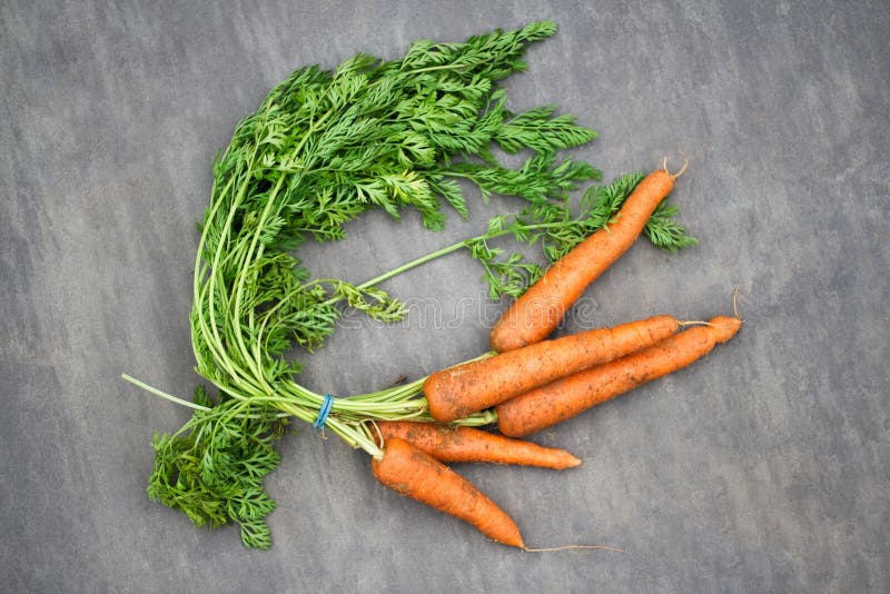 Bunch of Carrots stock photo. Image of green, healthy - 10820888