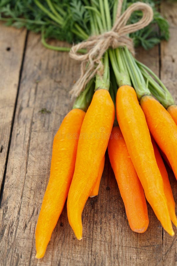 Bunch of carrots stock image. Image of concept, organic - 22019615