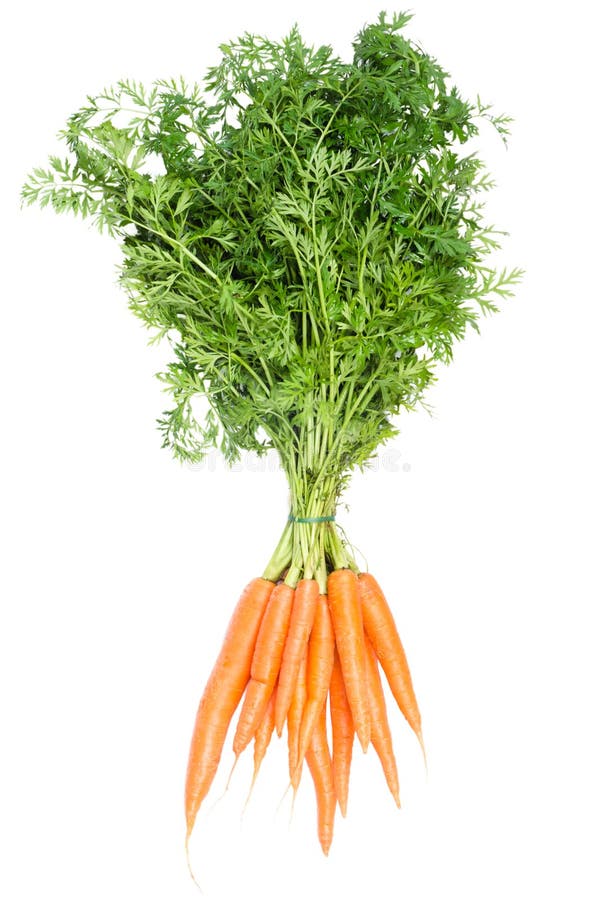 280+ Bunch carrots Free Stock Photos - StockFreeImages