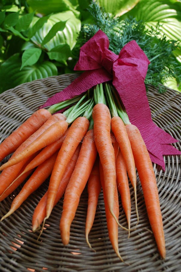 Bunch of carrots stock photo. Image of healthy, nutrition - 38956820