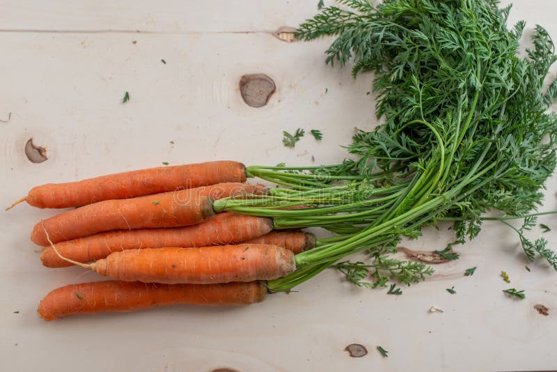 A Bunch of Carrots. Fresh Raw Carrots with Stems Stock Photo - Image of ...