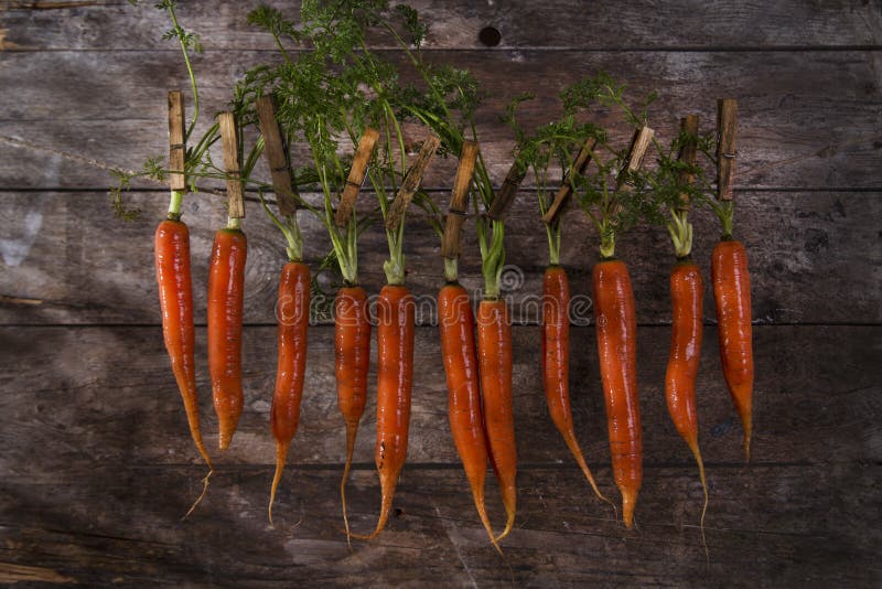 Bunch of carrots stock image. Image of ingredient, bunch - 51750033