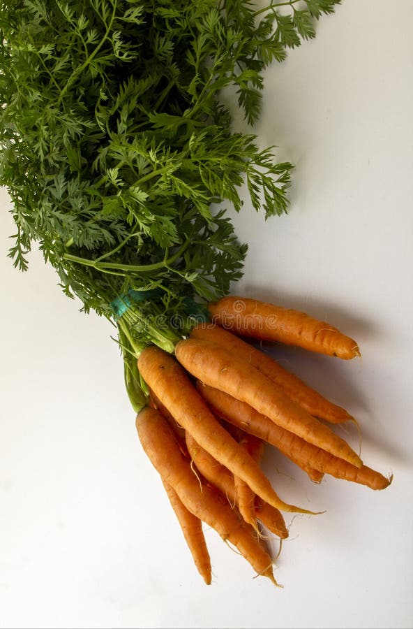 Bunch of carrots stock image. Image of eating, agriculture - 203581385