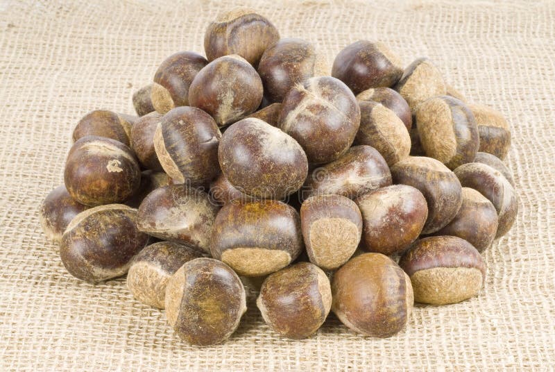 Bunch of Chestnuts stock photo. Image of healthy, nuts - 11657964