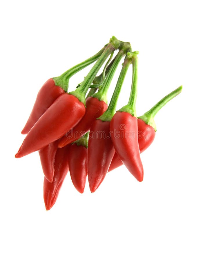 Red Chilli Peppers stock photo. Image of organic, peppers - 9573464
