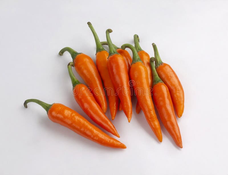 Bunch of Chili Peppers, Orange Color Isolated on White Stock Image ...