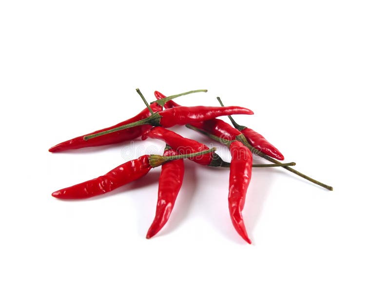 Bunch of chillis stock photo. Image of restaurant, tasteful - 211356