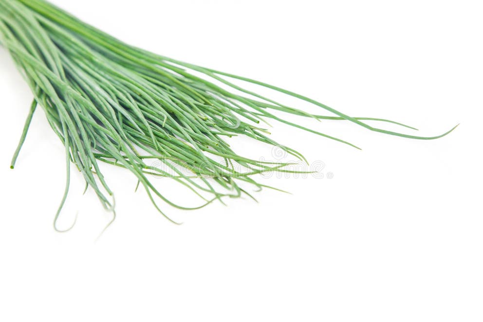Bunch of chives stock image. Image of nature, bundle - 40332367