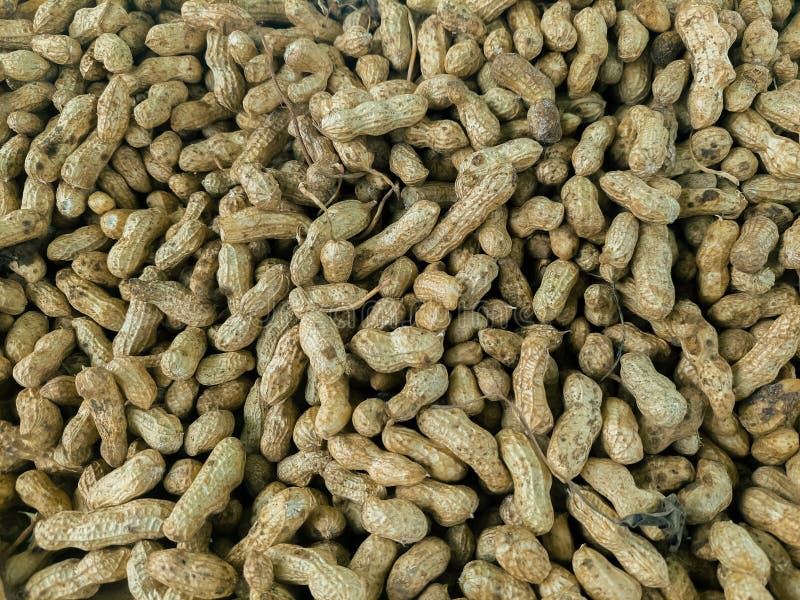 A Bunch of Clean and Good Peanuts Stock Image - Image of breakfast ...