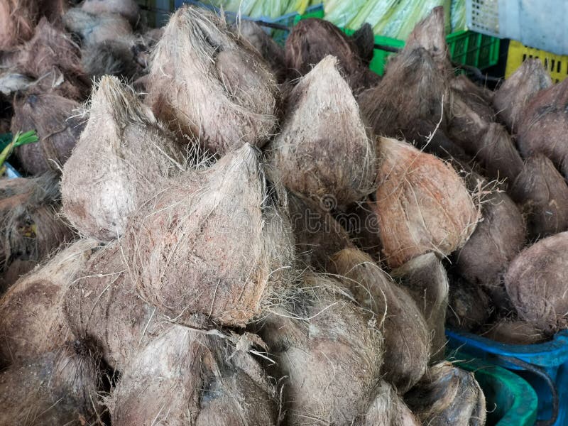 A Bunch of Coconuts at Farmer Market Stock Photo - Image of dish ...