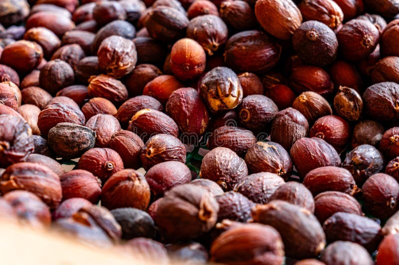A Bunch of Coffee Nuts are Spread Out on a Green Surface Stock Image ...