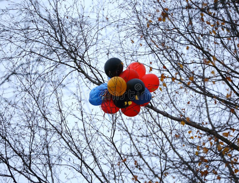 Balloons stuck in the tree stock image. Image of isolated - 64454663