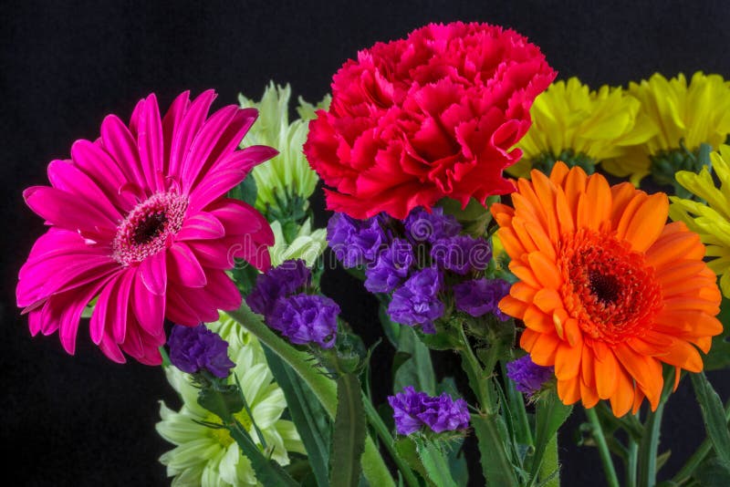 Bunch of Coloured Flowers stock image. Image of bloom - 83386051