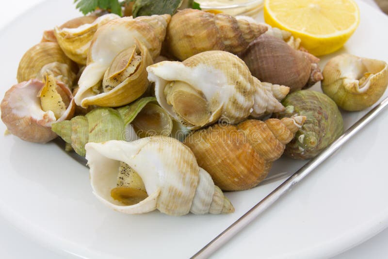 Whelk cooked stock image. Image of whelk, market, seafood - 123963173