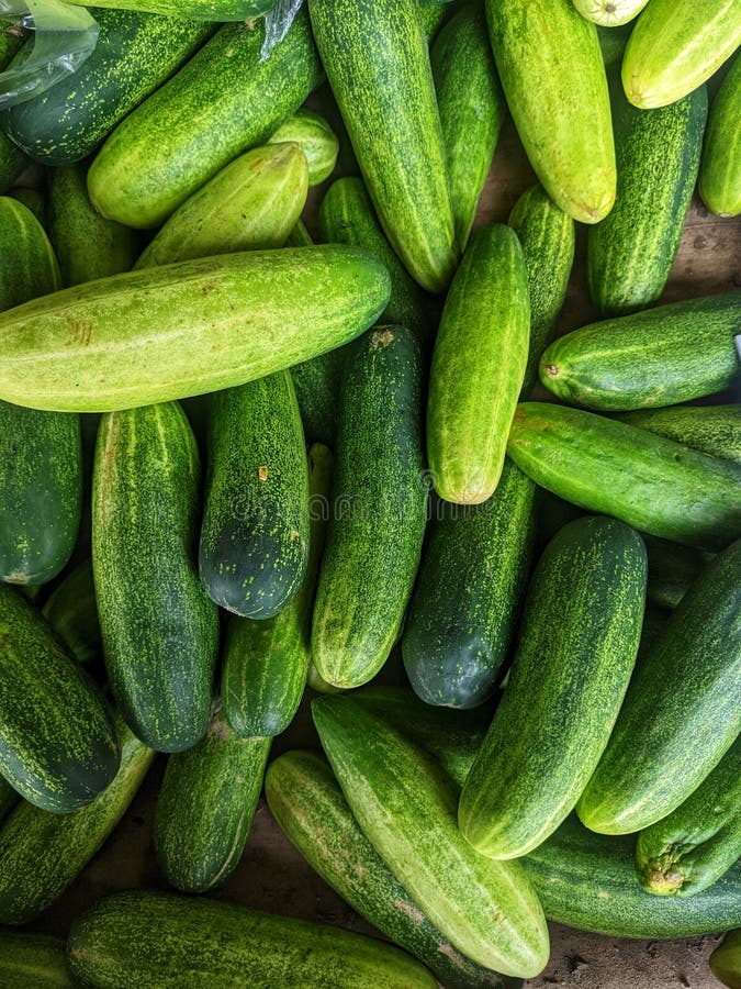 A Bunch of Cucumber in Local Market in Indonesia Stock Photo - Image of ...