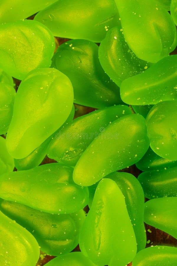 A Bunch of Curly Green Marmalade. Sweet Dessert Stock Image - Image of ...