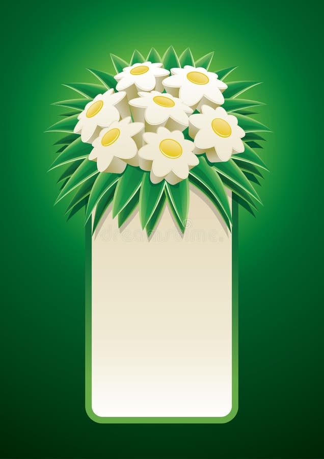 Bunch of daisy banner. stock vector. Illustration of daisy - 9446197