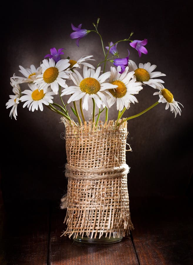 Bunch of daisy flowers stock photo. Image of daisy, plant - 25625970