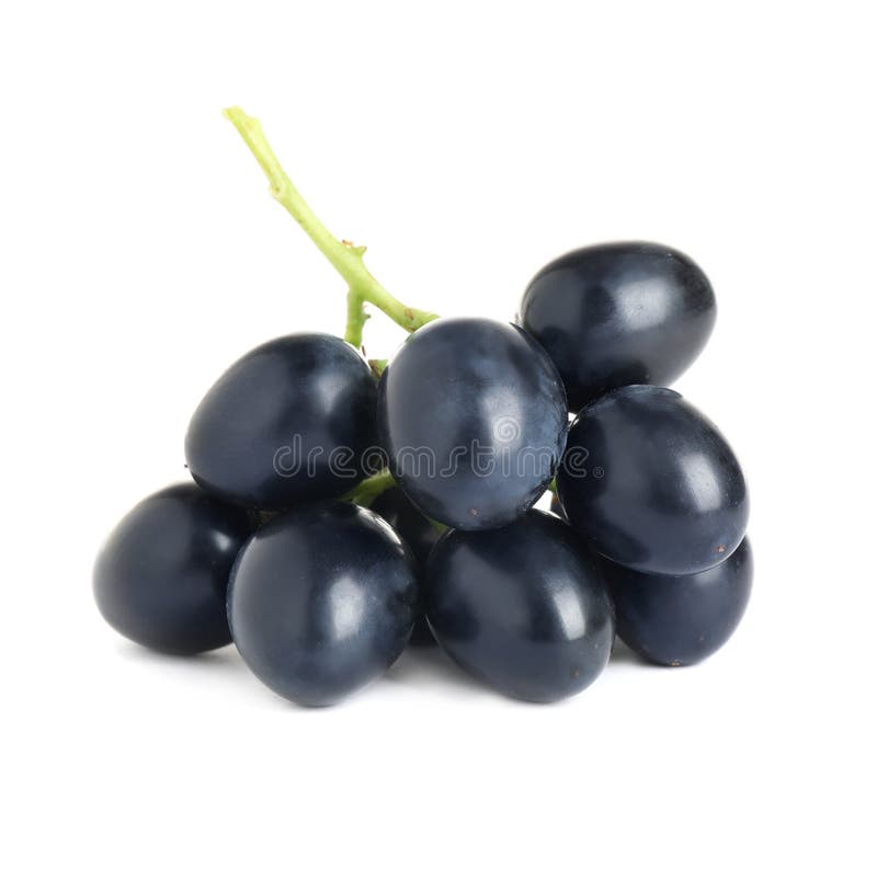 Bunch of Dark Blue Grapes Isolated on White Stock Image - Image of ...