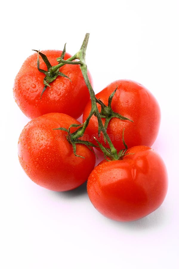 Bunch of Delicious Fresh Tomatoes Stock Photo - Image of fruit, branch ...
